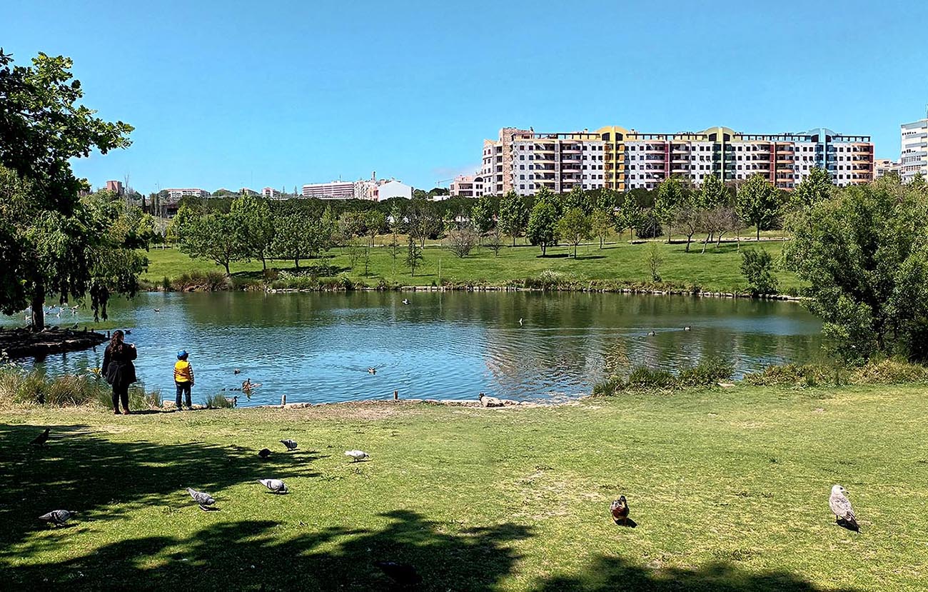 Parque da Paz: construir Natureza no coração de Almada