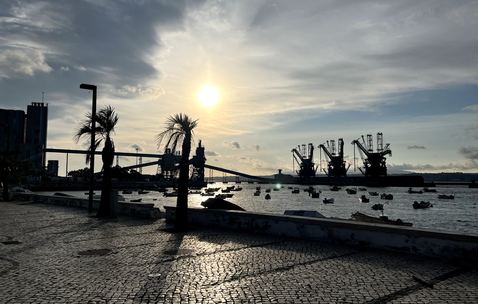 Evento "Trafaria na Brasa" celebra tradição do peixe e do marisco da região